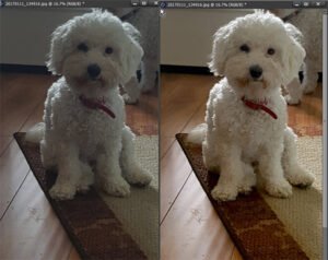 Photo Editing using Levels: the Basics - Karen Schulz