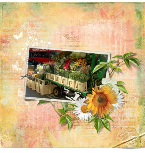 Create Realistic Custom Shadows with the Smudge Tool - Karen Schulz